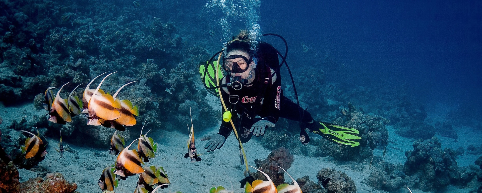 Diving In The Red Sea From Hurghada Shore | Kite School Egypt